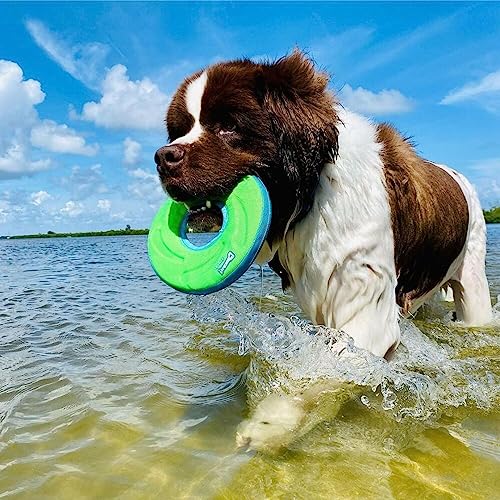 ChuckIt! Zipflight Flyer Dog Frisbee & Dog Toy that Floats; Gentle On Dog's Teeth and Gums; Medium