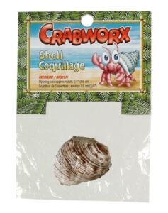 crabworx shell, medium