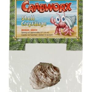 Crabworx Shell, Medium