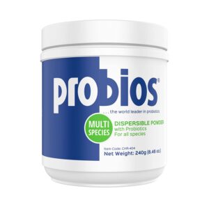 probios vet plus dispersible digestive powder, 240gm