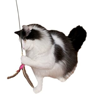 gocat da bird rod and feather cat toy, handmade in the usa (1 bird)