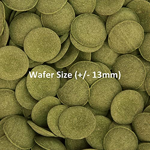 Ocean Nutrition Grazing Wafers 5.3-Ounces (150 Grams) Jar