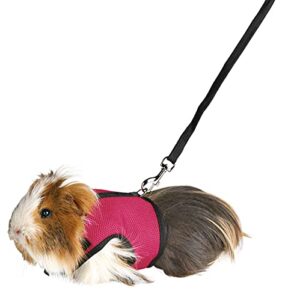 Trixie Pet Product 61512 Soft Harness with Leash for Small Animals Medium