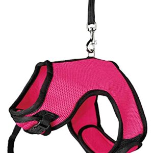 Trixie Pet Product 61512 Soft Harness with Leash for Small Animals Medium