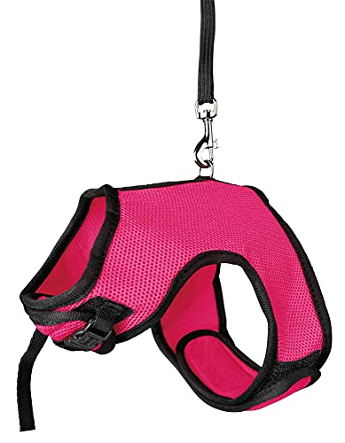 Trixie Pet Product 61512 Soft Harness with Leash for Small Animals Medium