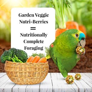 LAFEBER'S Garden Veggie Nutri-Berries Pet Bird Food, Made with Non-GMO and Human-Grade Ingredients, for Parrots, 3 lb