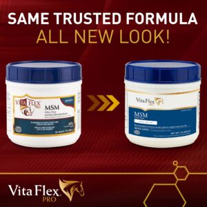 Vita Flex Pro Horse MSM Quality Joint Supplement, 1 Pound