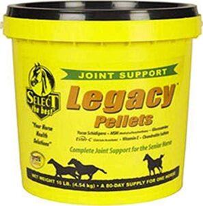 richdel legacy pellets 075332