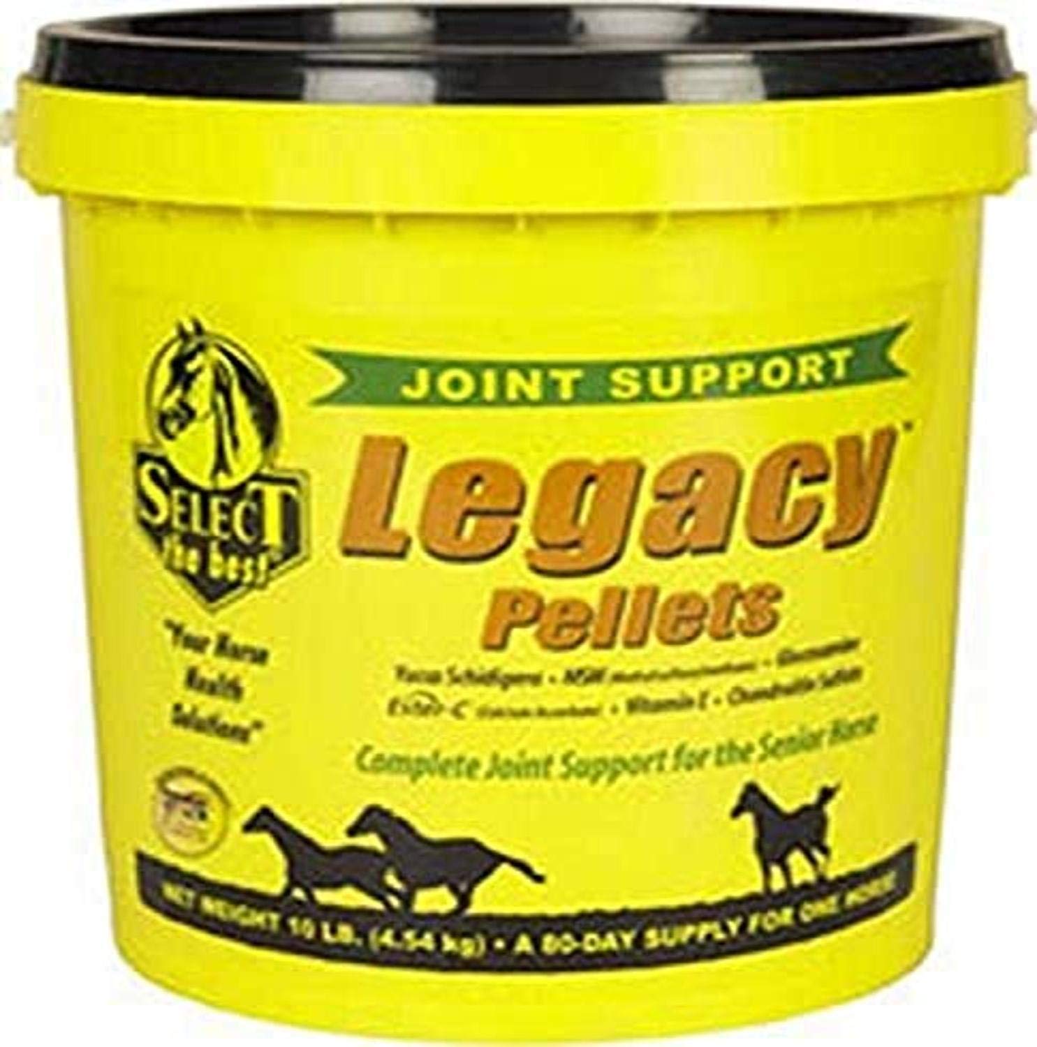 RICHDEL Legacy Pellets 075332