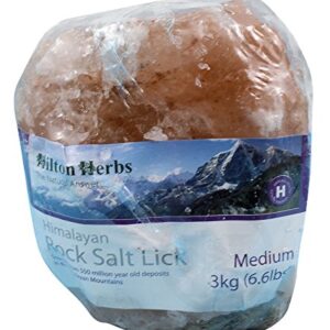 039036 Himalayan Salt Lick for Horses Pink, Medium