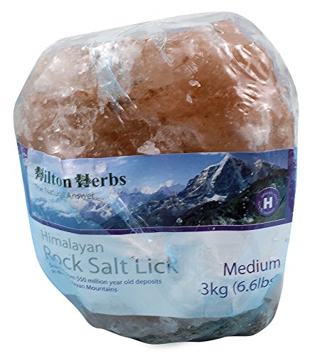 039036 Himalayan Salt Lick for Horses Pink, Medium