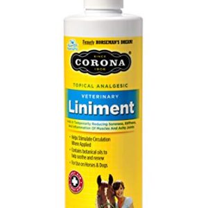 Manna Pro 1000193 62620 Corona Topical Analgesic Veterinary Liniment, 16 Ounces