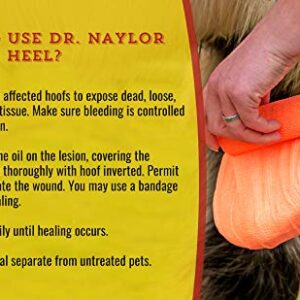 Dr. Naylor Hoof 'N Heal, Hoof Rot Foot Rot Wound Care, 16oz, Sheep Goat Cow Horse, 1-pack