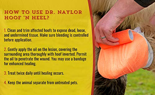 Dr. Naylor Hoof 'N Heal, Hoof Rot Foot Rot Wound Care, 16oz, Sheep Goat Cow Horse, 1-pack