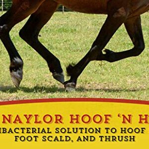 Dr. Naylor Hoof 'N Heal, Hoof Rot Foot Rot Wound Care, 16oz, Sheep Goat Cow Horse, 1-pack