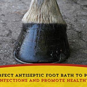 Dr. Naylor Hoof 'N Heal, Hoof Rot Foot Rot Wound Care, 16oz, Sheep Goat Cow Horse, 1-pack