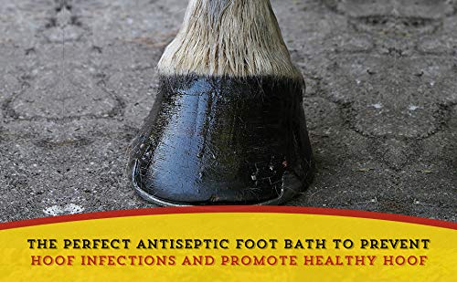 Dr. Naylor Hoof 'N Heal, Hoof Rot Foot Rot Wound Care, 16oz, Sheep Goat Cow Horse, 1-pack