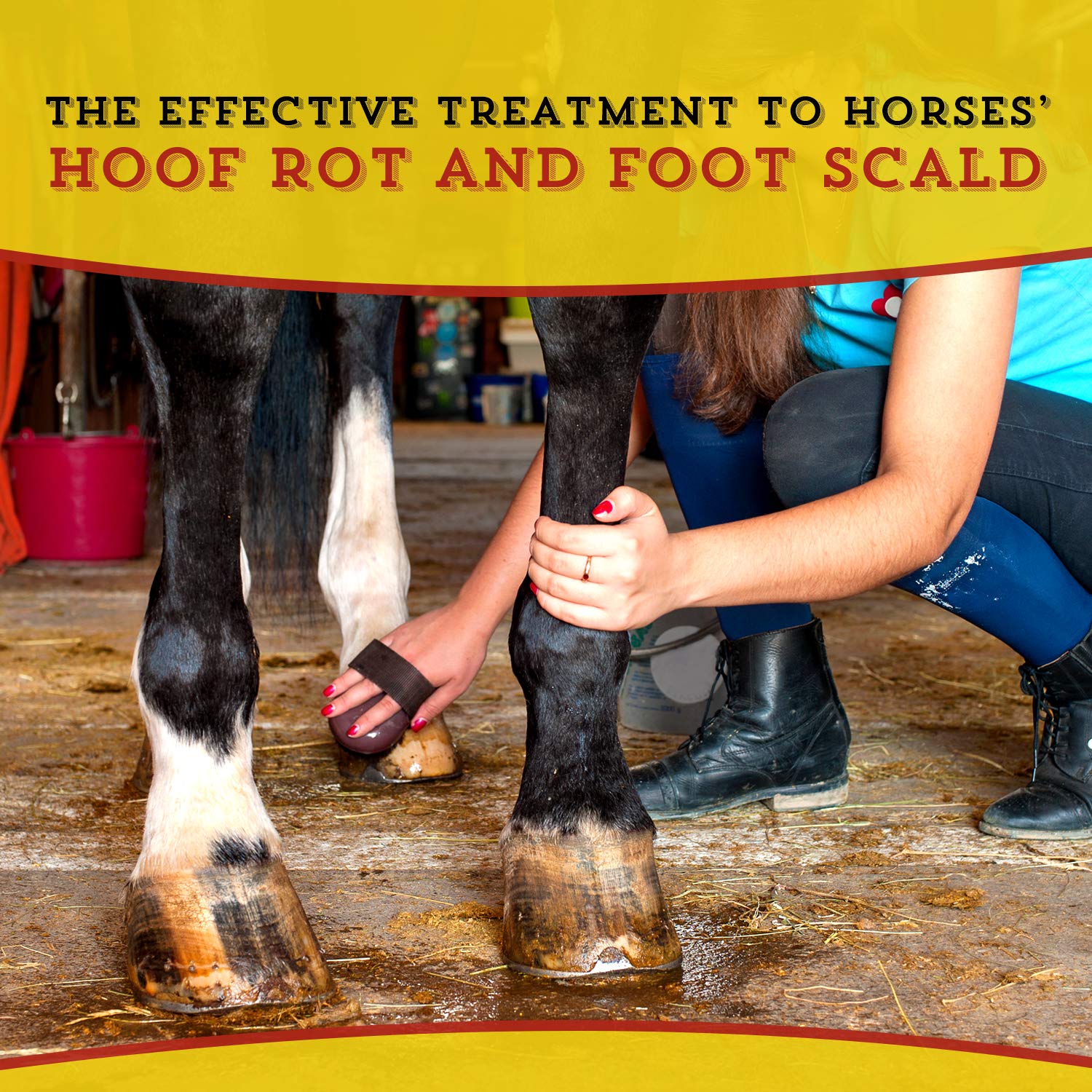 Dr. Naylor Hoof 'N Heal, Hoof Rot Foot Rot Wound Care, 16oz, Sheep Goat Cow Horse, 1-pack