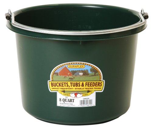 Miller Manufacturing P8GREEN Plastic Round Back Bucket for Horses, 8-Quart, Green