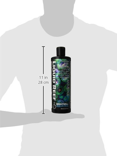 Brightwell Aquatics Liquid Reef - Concentrated Reef Builder for Coralline Algae, Corals, Clams & Other Marine Invertebrates, 500-ml