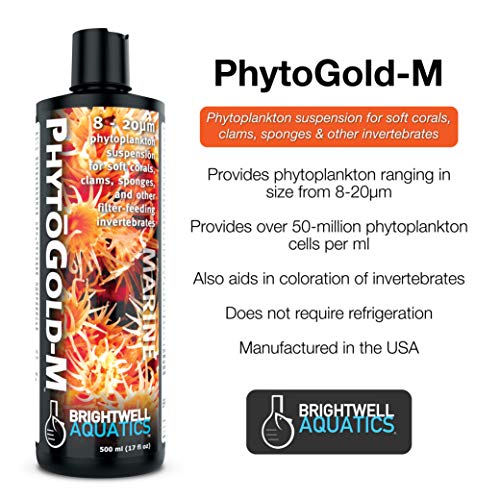 Brightwell Aquatics PhytoGold M - Phytoplankton Suspension for Soft Corals, Clams, Sponges & Their Allies, 500 ml