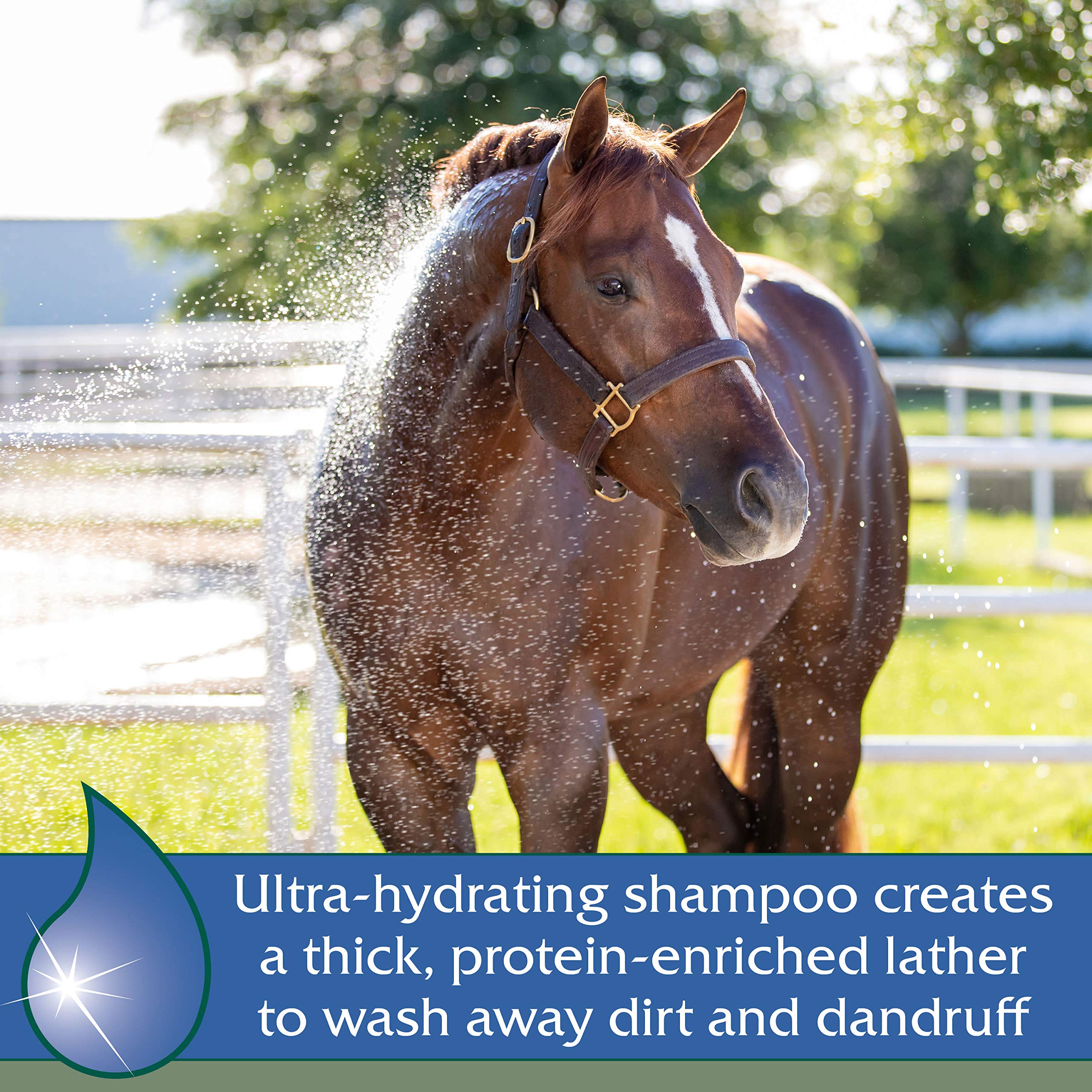 Farnam Vetrolin Bath Ultra-Hydrating Shampoo for Horses and Dogs, 32 Ounces