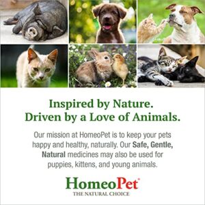 HomeoPet Joint Stress, Joint-Function Support for Dogs, Cats, and Pets, 15 Milliliters