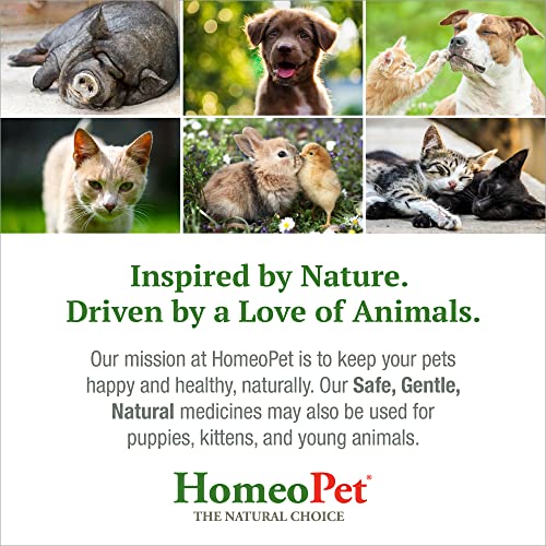 HomeoPet Travel Anxiety, Calming Relief for Dogs, Cats, and Other Small Animals, 15 Milliliters