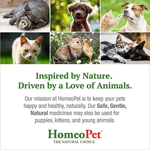 HomeoPet Digestive Upsets Natural Pet Digestive Support, Supports Temporary Relief from Digestive Problems, 15 Milliliters