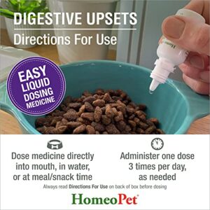 HomeoPet Digestive Upsets Natural Pet Digestive Support, Supports Temporary Relief from Digestive Problems, 15 Milliliters