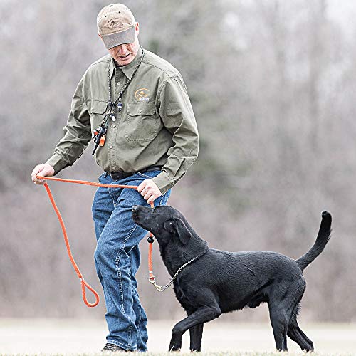 SportDOG Brand Roy Gonia Special Whistle - Hunting Dog Whistle with Easy-to-Blow Design - For Training or Field Use - Lower-Pitched Sound