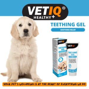 Mark & Chappell Teething Gel for Puppies, 1.75-Fluid Ounce