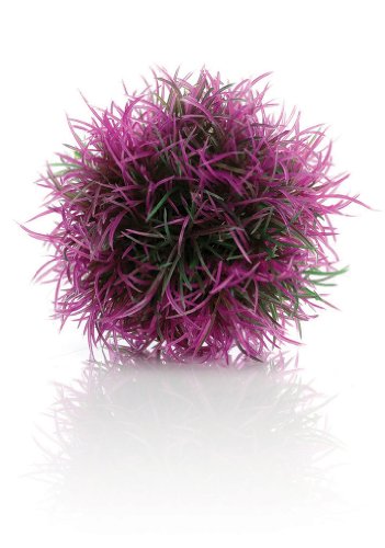 biOrb Pet Ball For All Breeds, Purple, 1.76 Ounces