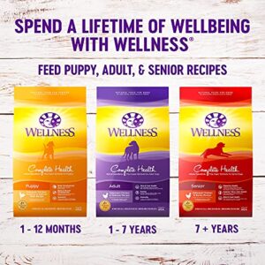 Wellness Complete Health Small Breed Adult Dry Dog Food with Grains and Real Turkey, Natural Ingredients, Omega Fatty Acids, and Probiotics, Made in USA (12-Pound Bag)”