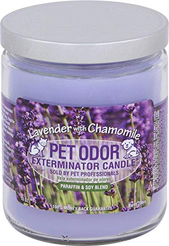 Pet Odor Exterminator Jar Candle - Lavender with Chamomile