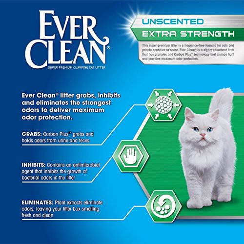 Ever Clean Extra Strength Cat Litter, Unscented, 14-Pound Box