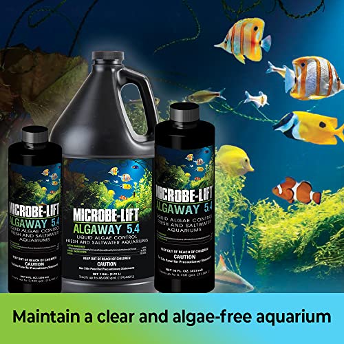 MICROBE-LIFT Algaway 5.4 Algae Control for Fresh and Salt Water Home Aquariums, 8 Ounces