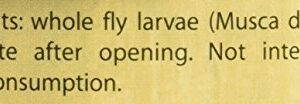 Birdwatcher's Choice: Fly Larvae, 70 g / 2.5 oz