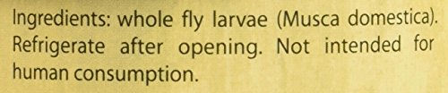 Birdwatcher's Choice: Fly Larvae, 70 g / 2.5 oz