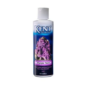 kent marine tech bottle purple .5 pounds