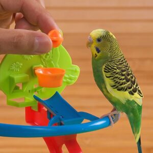 Nature's Instincts Birdie Basketball Pet Toy