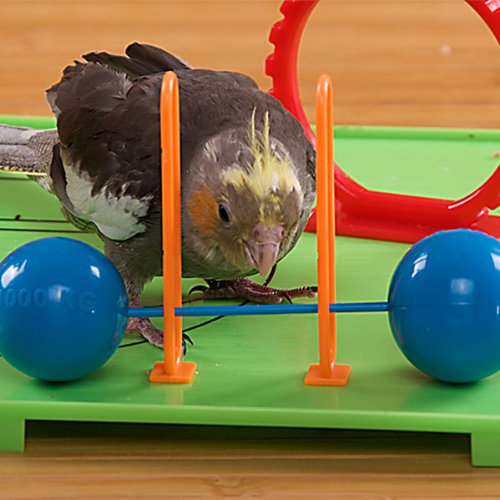 Nature's Instincts Birdie Basketball Pet Toy