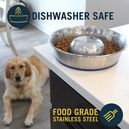 OurPets DuraPet Slow Feed Premium Stainless Steel Dog Bowl, Silver, Small (2040010300)