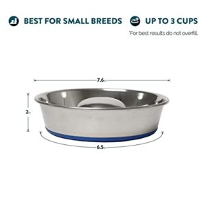 OurPets DuraPet Slow Feed Premium Stainless Steel Dog Bowl, Silver, Small (2040010300)