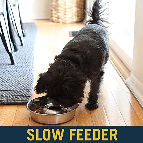 OurPets DuraPet Slow Feed Premium Stainless Steel Dog Bowl, Silver, Small (2040010300)