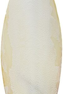 Prevue Pet Products Bpv11465 5-Inch Bird Cuttlebone Box, Medium, 5-Pound