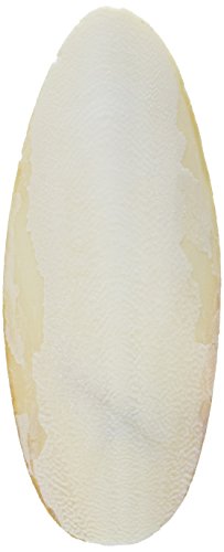 Prevue Pet Products Bpv11465 5-Inch Bird Cuttlebone Box, Medium, 5-Pound