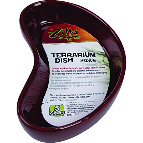 Rzilla Terrarium Dish Medium