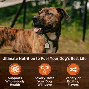 Wellness CORE Natural Wet Grain Free Canned Dog Food, Turkey & Chicken, 12.5-Ounce Can (Pack of 12)