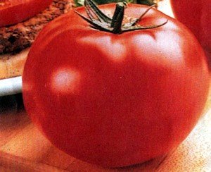 big beef hybrid tomato 45 seeds -colossal fruit size!